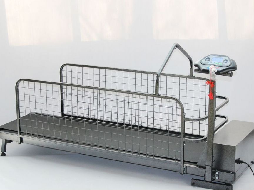 Беговая дорожка для собак