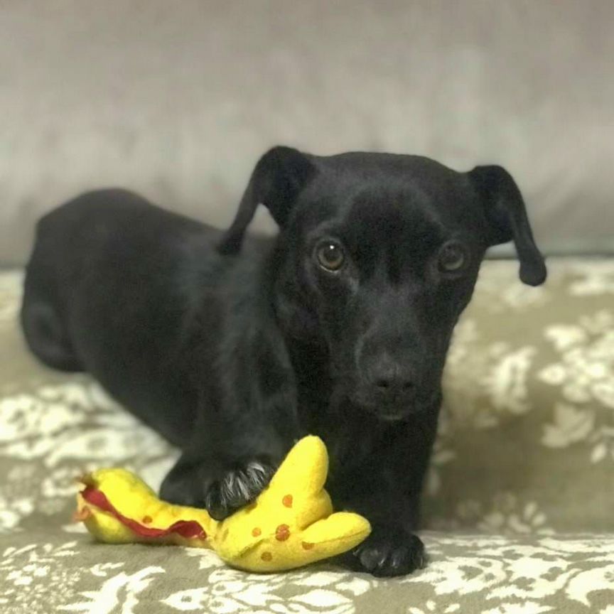 Тучка в добрые ручки