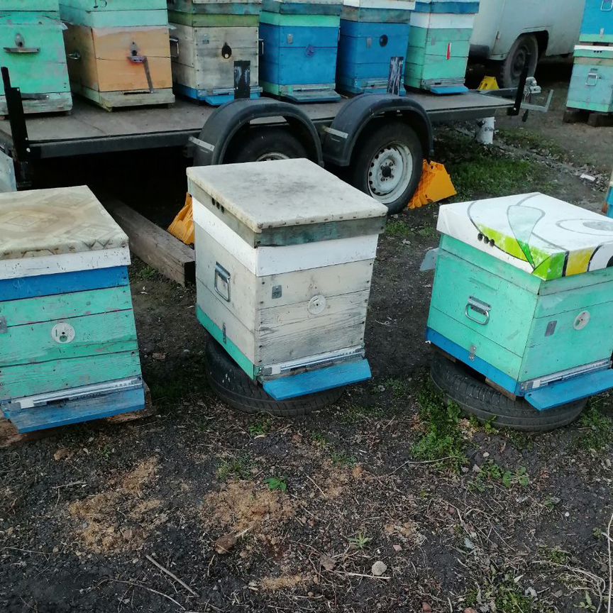 Продам ульи для пчел бу, в хорошем состоянии