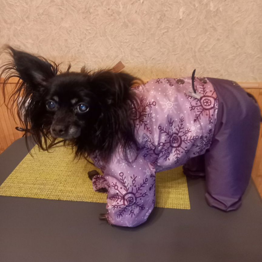 Теплый комбинезон для маленькой собачки