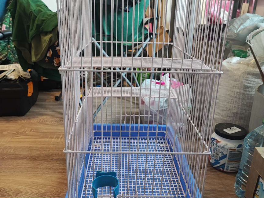 Клетка для грызунов бу