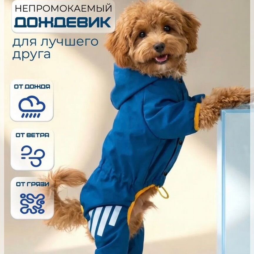 Дождевик для маленькой собаки