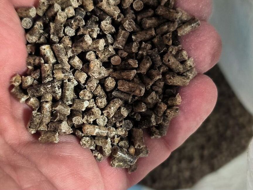 Корм для прудовой рыбы