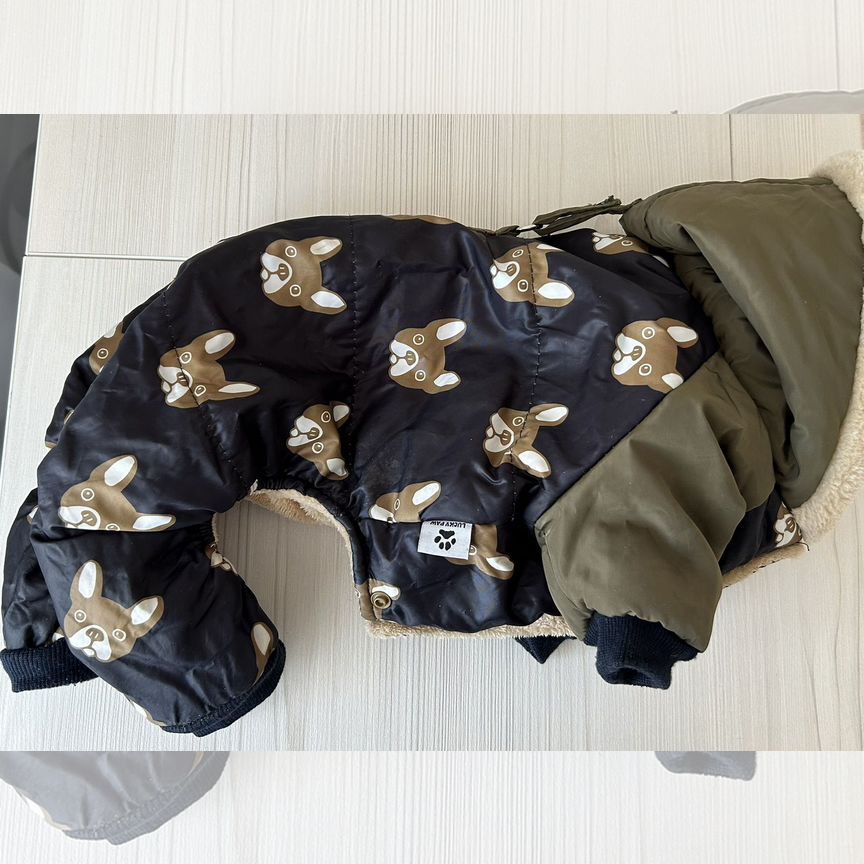 Одежда для собак мелких пород мальчик