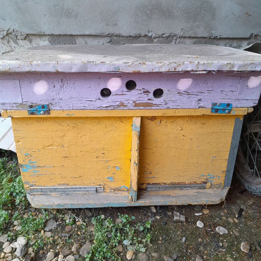 Продам лежак для пчел