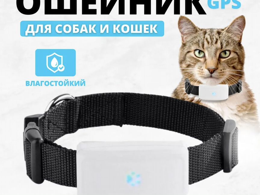 Водонепроницаемый GPS ошейником для животных TK911