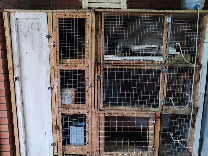 Клетки для кролей