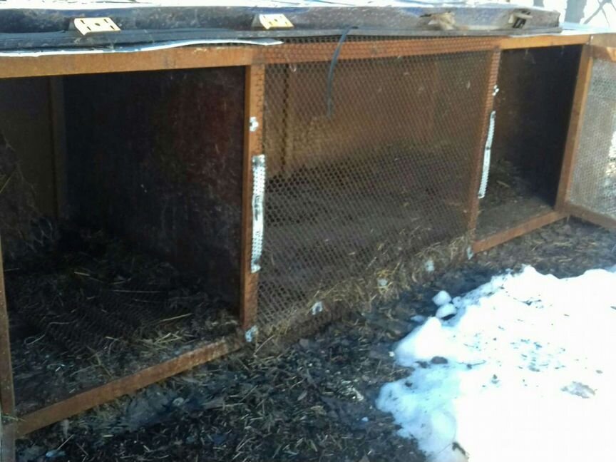 Клетка для кроликов