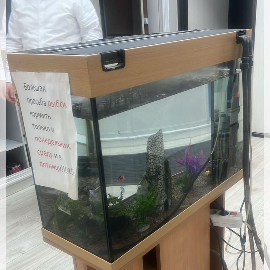 Аквариумные рыбки