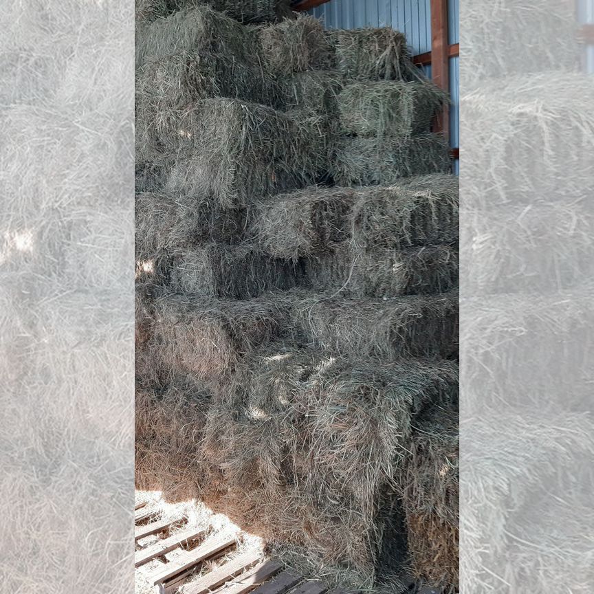 Сено,солому в тюках, овёс