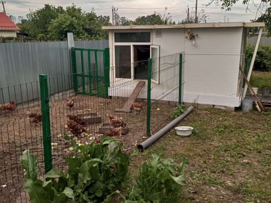 Курятник для кур