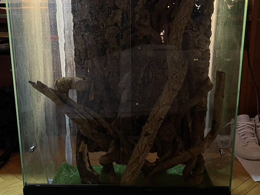 Террариум для рептилий