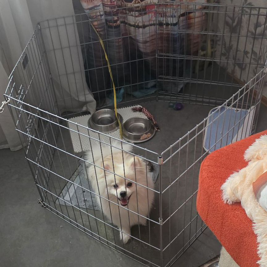 Вольер для собак