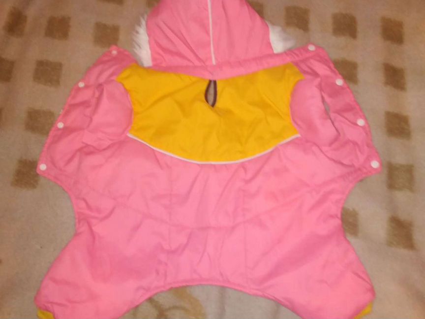 Комбинезон для маленькой собаки