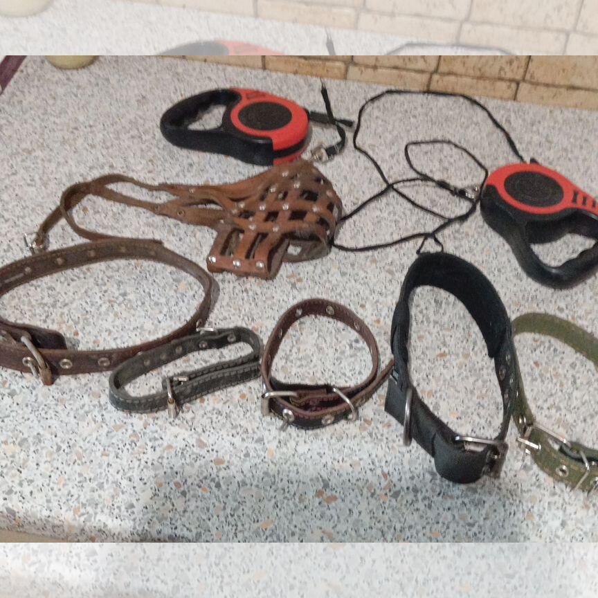 Ошейник для собак