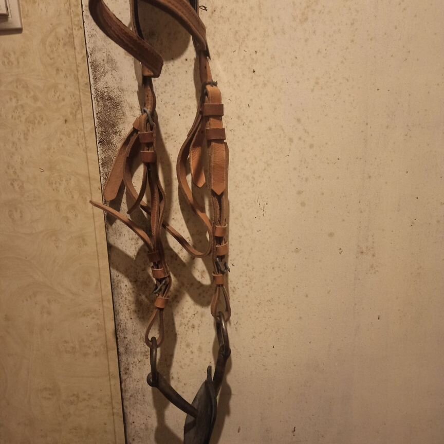 Уздечка и кнут