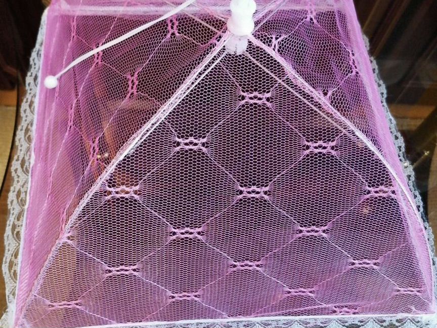 Домик для бабочек, ферма бабочек