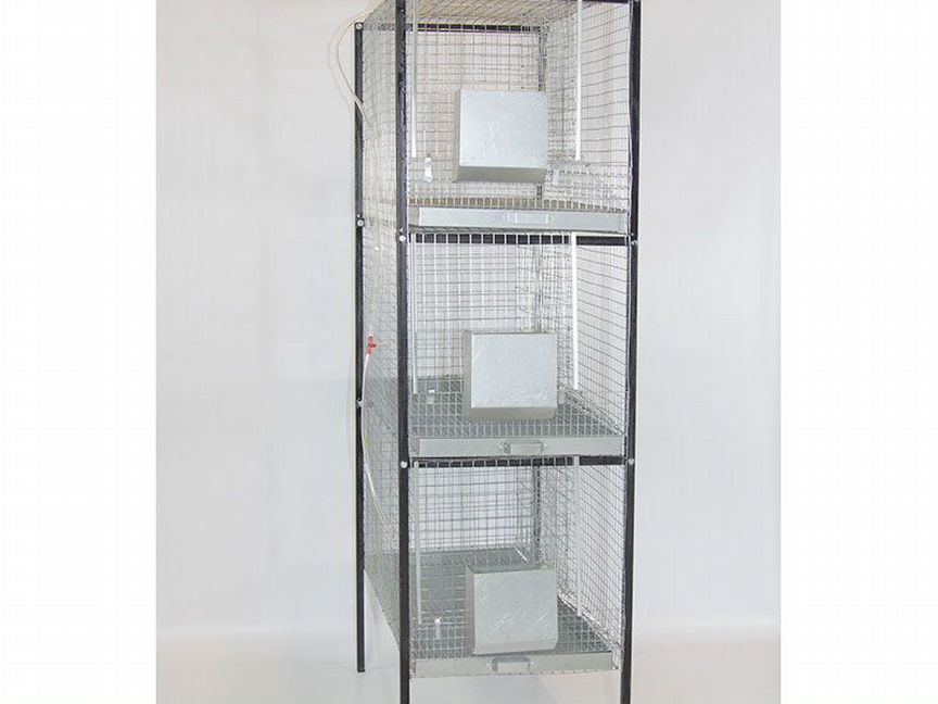 Мини-ферма для кроликов на откорме на 12 голов