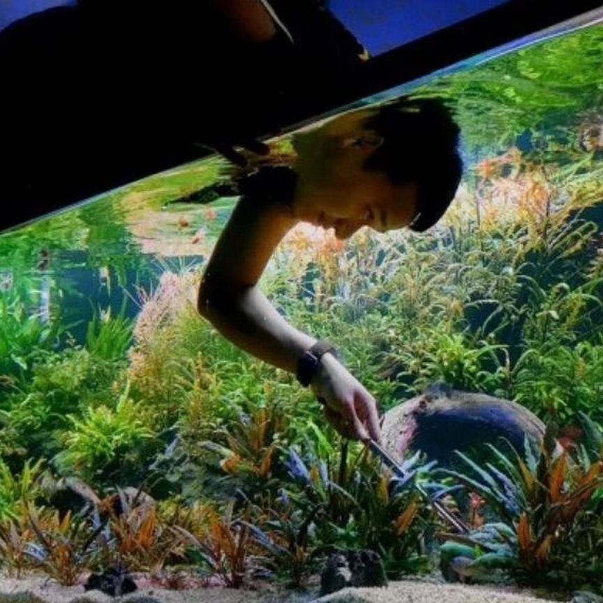 Аквариумистика