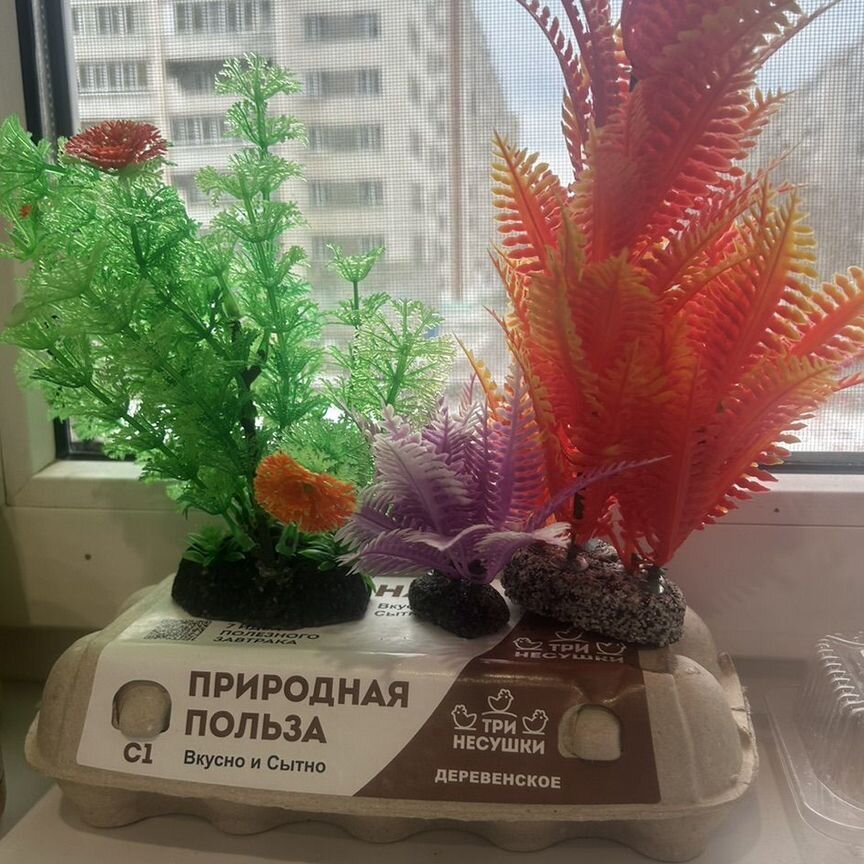 Искусственные растения в аквариум