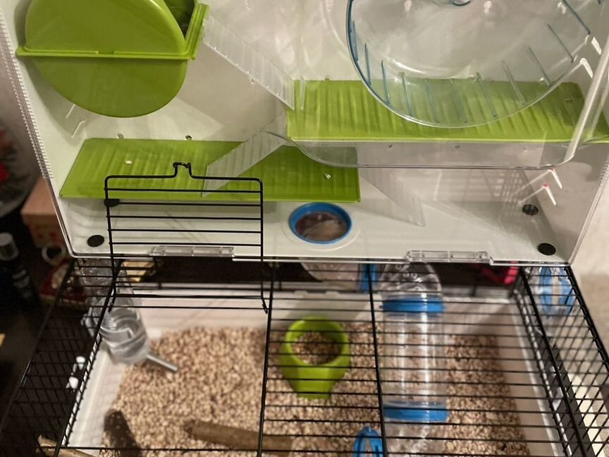 Клетка для хомяка Ferplast Olimpia