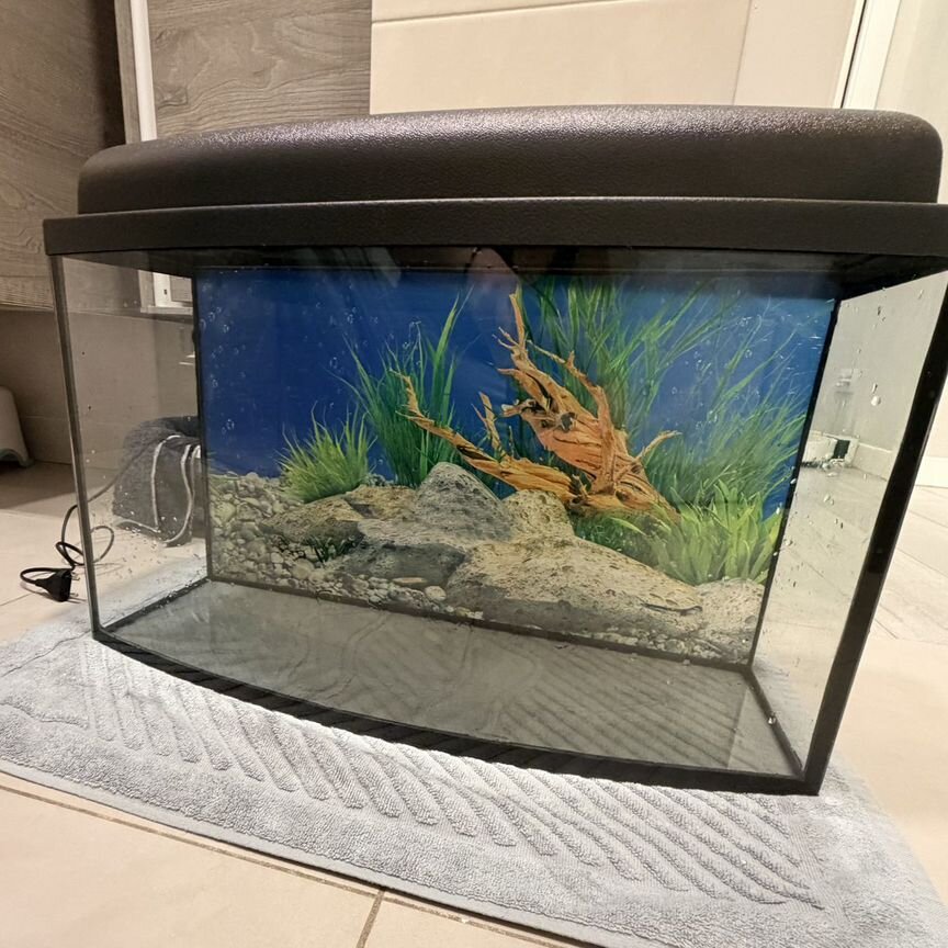 Аквариум с грунтом