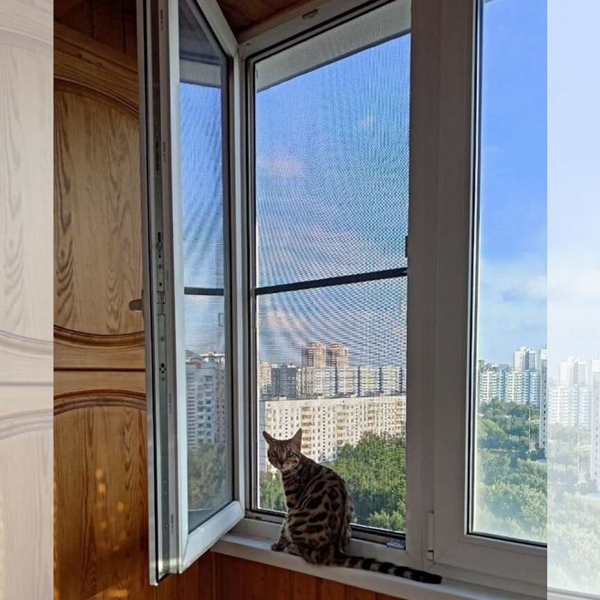 Антикошка вместо обычной москитной сетки