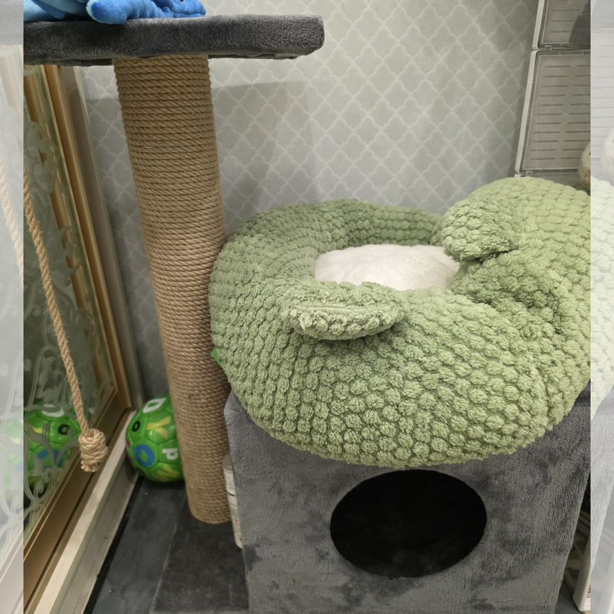Домик и лежанка для кота