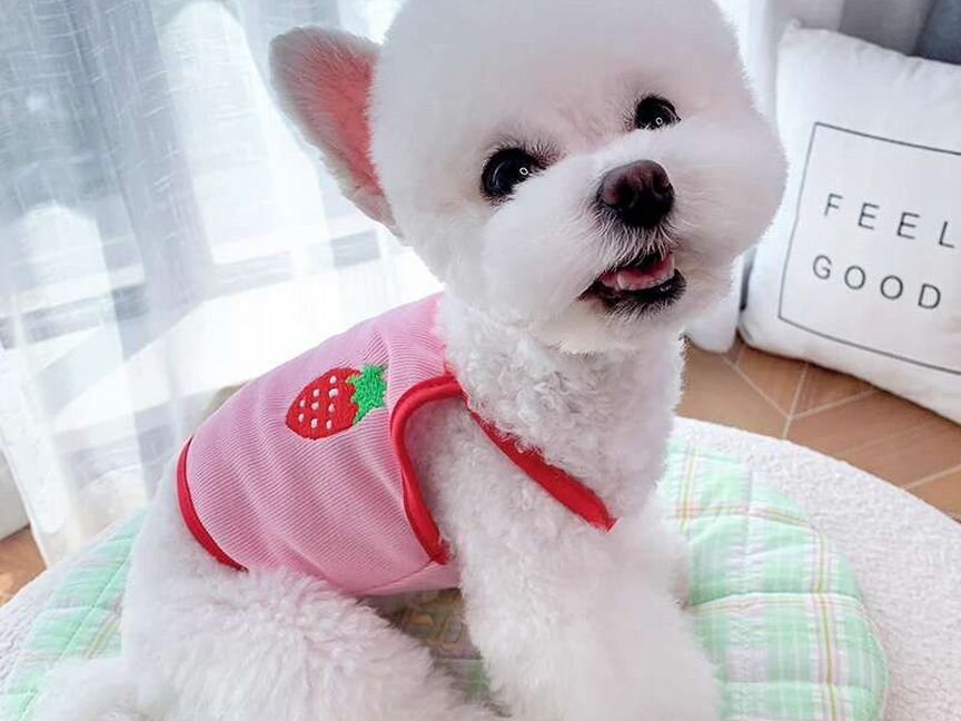 Новый одежда и аксессуары