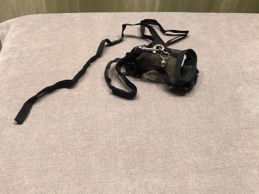 Шлейка, поводок для грызунов ferplast jogging