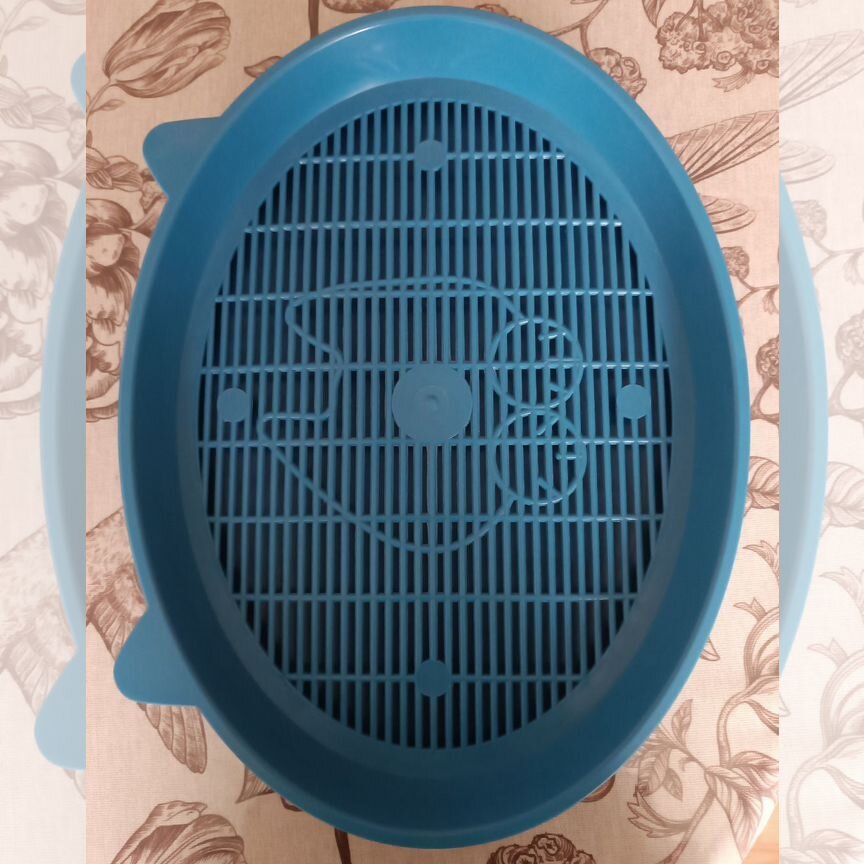 Лоток для котят