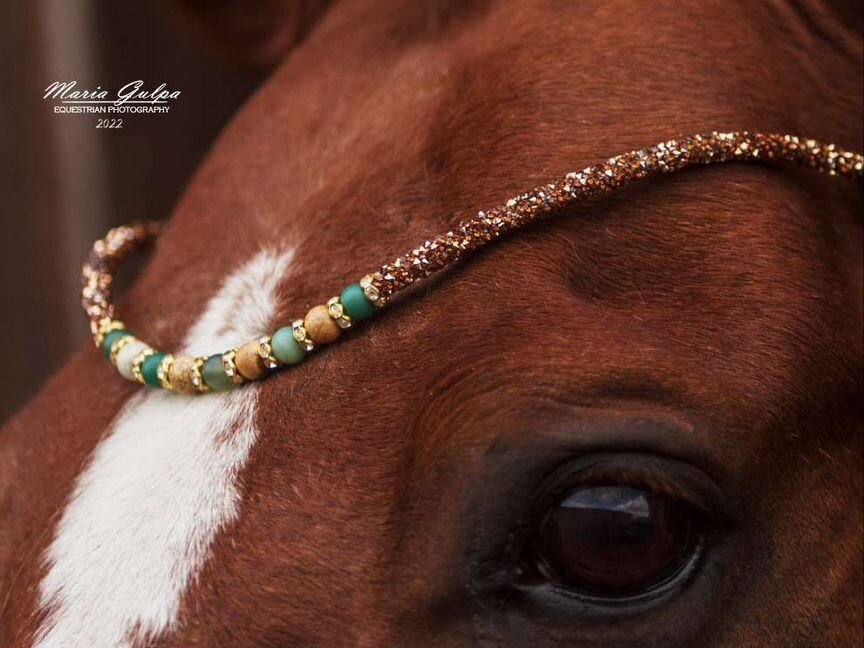 Налобник для лошади