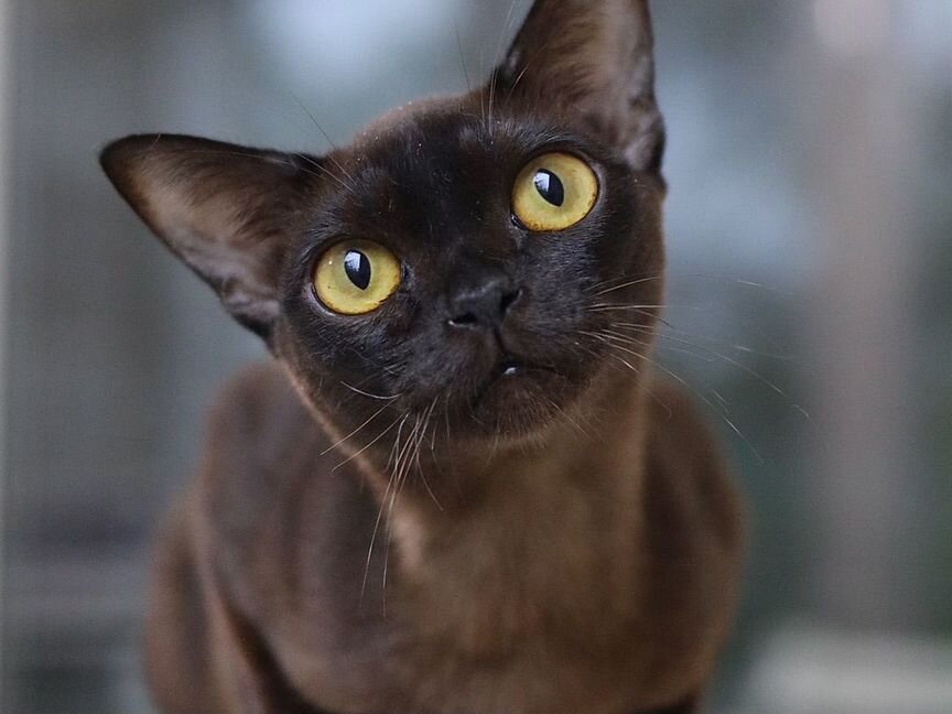 Мария