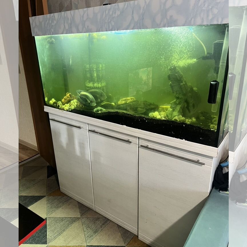 Аквариум 500 литров