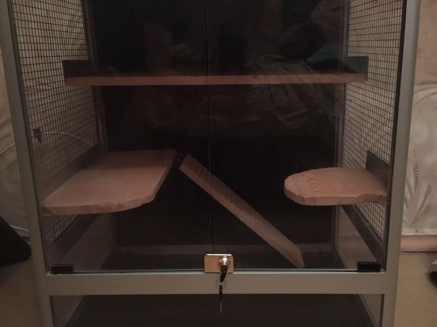 Клетка-витрина для крыс, хомяков