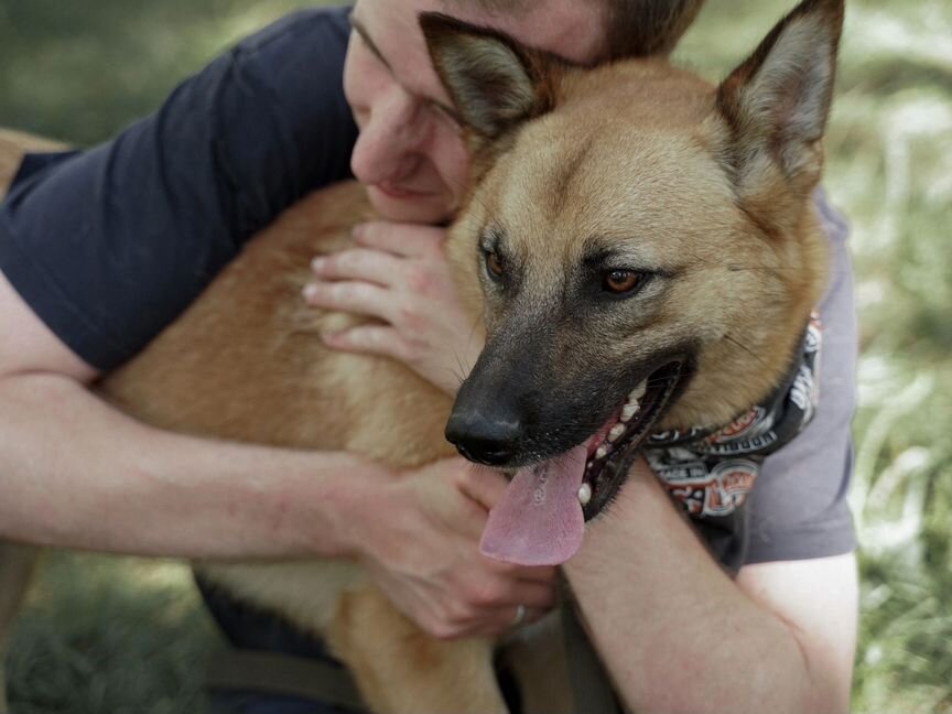За три года ко мне в приют никто не пришел