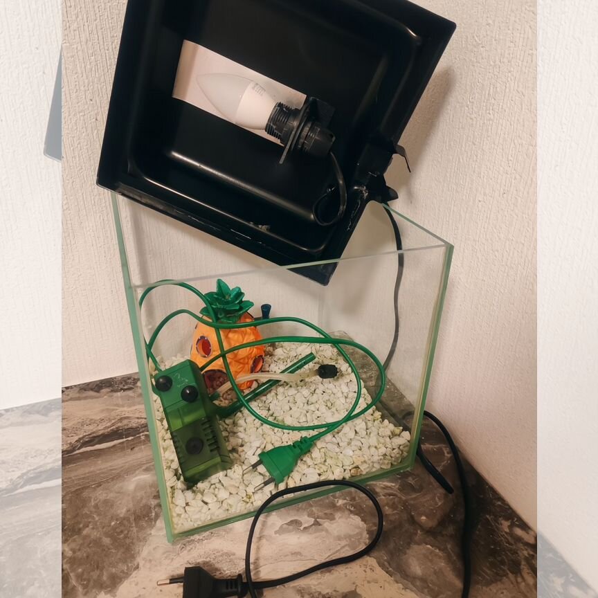 Аквариум 10 литров