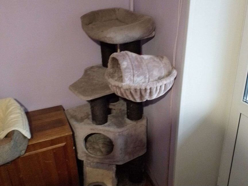 Кошкин дом бу