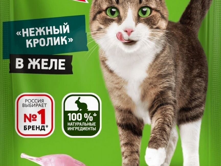 Корм для кошек