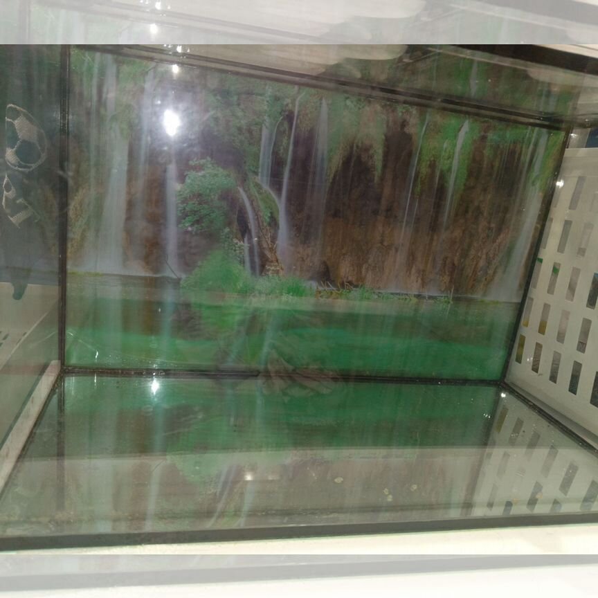 Аквариум Б/У