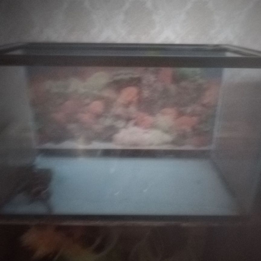 Аквариум 120 литров