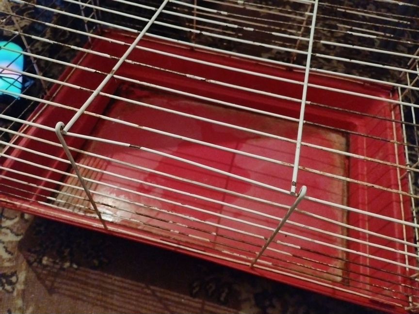 Клетка для грызунов большая