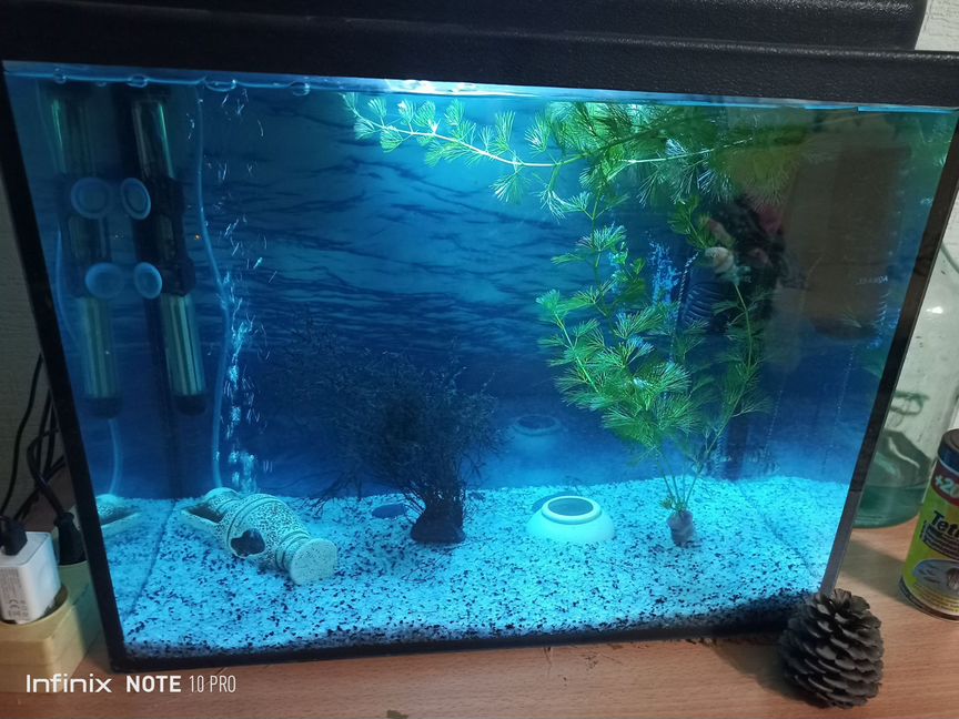 Аквариум 50 литров