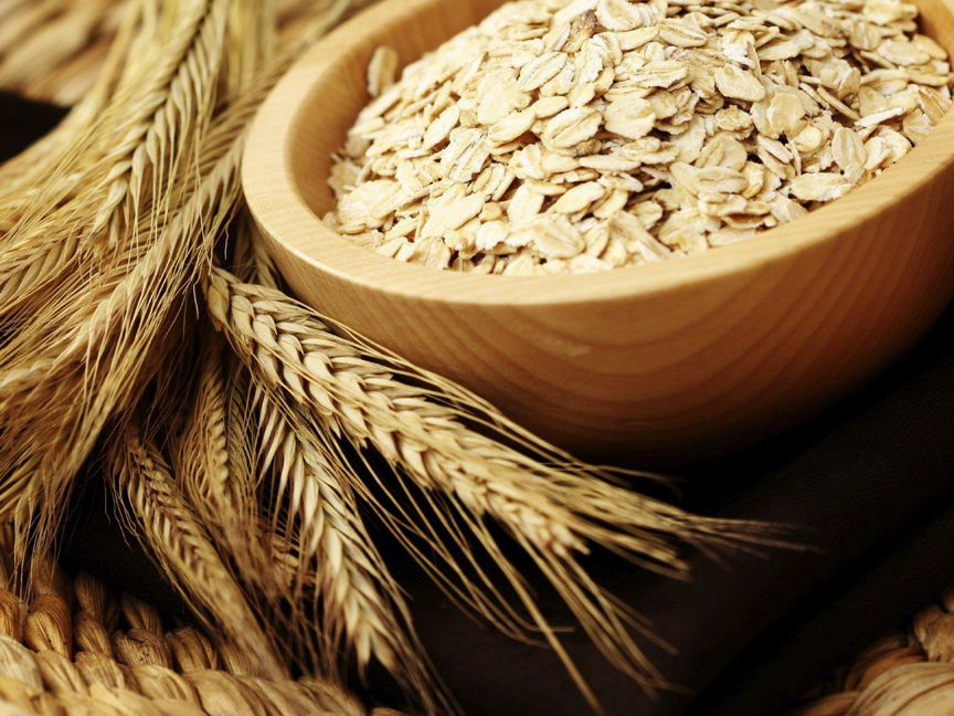 Овёс урожай 2023