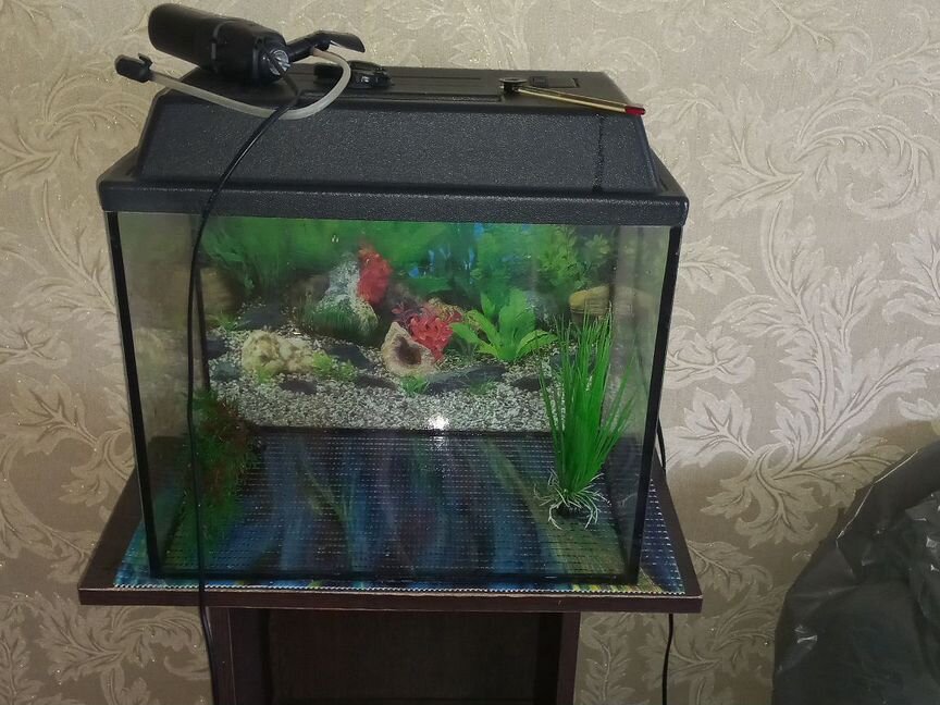 Аквариум
