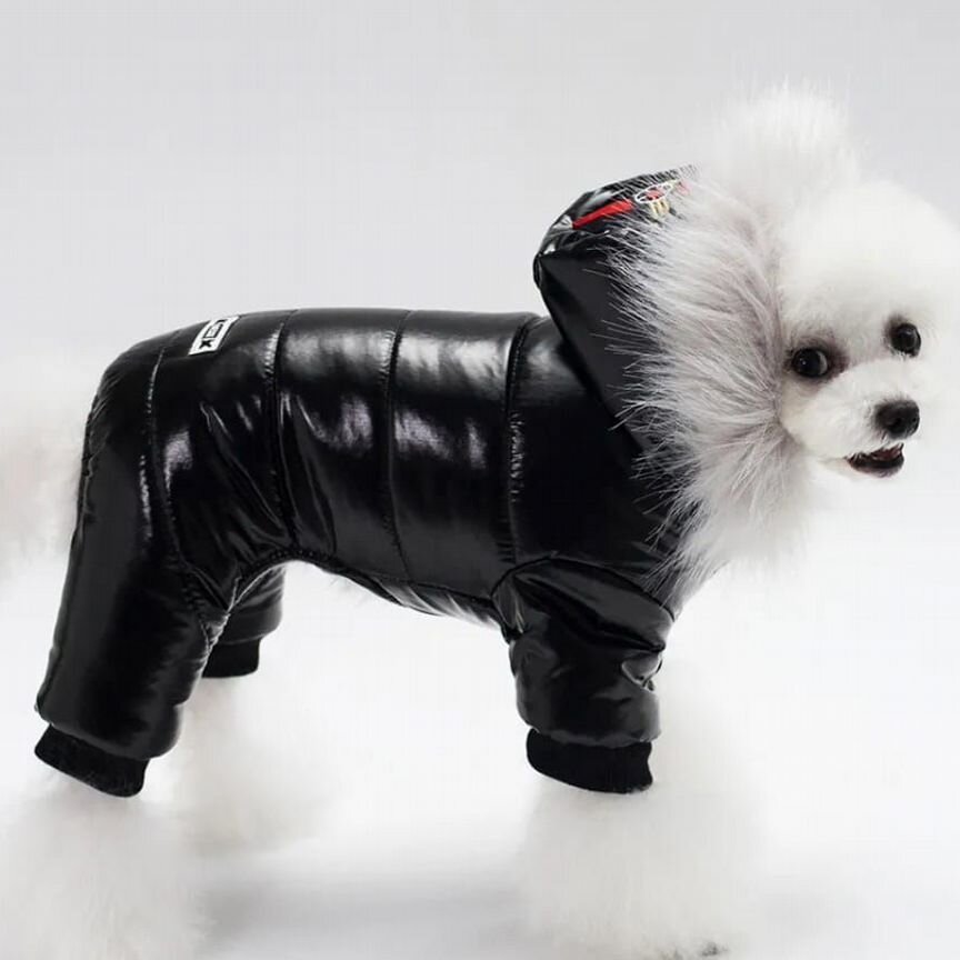 Одежда для собак