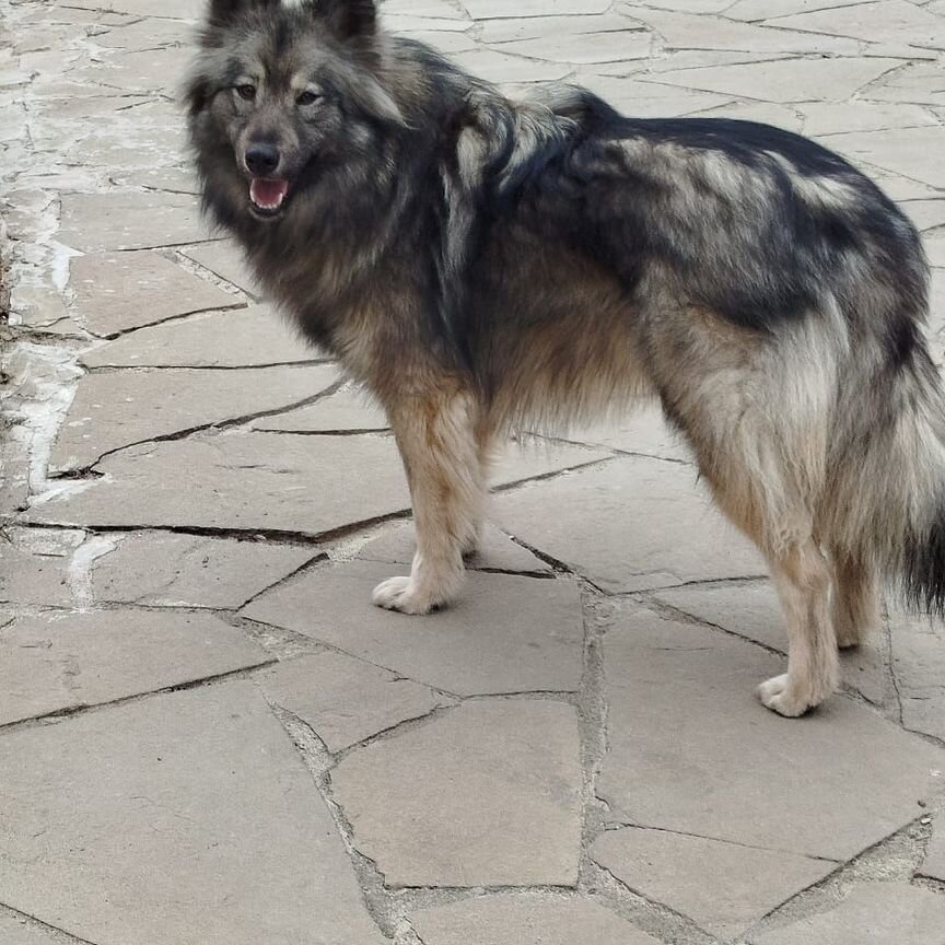 Ждут свою семью