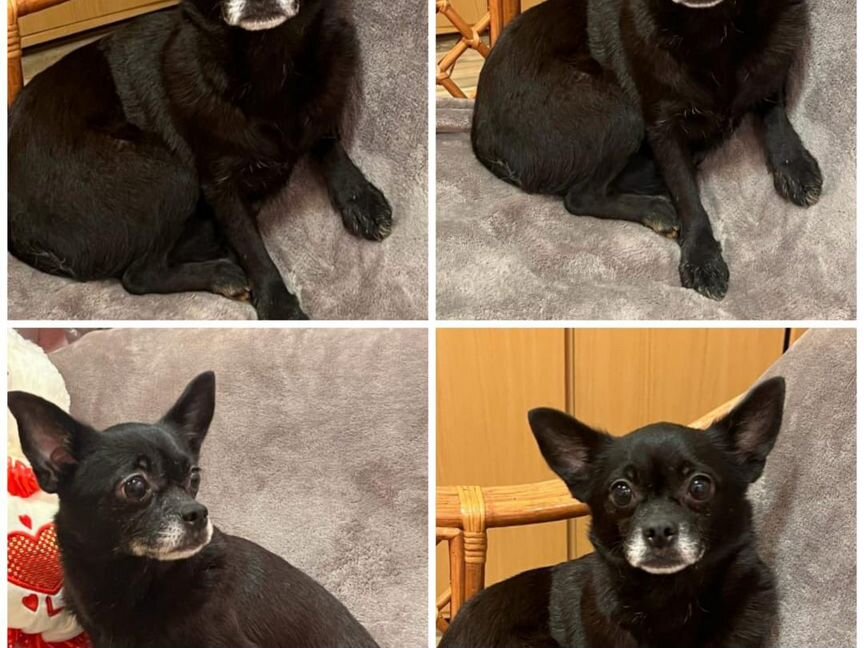 Взрослая Девоча. Ждет родителей