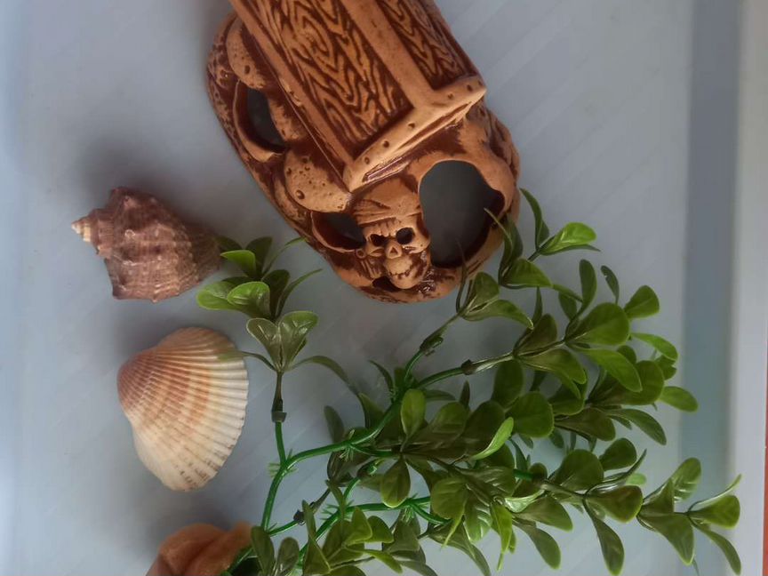 Украшения для аквариума, камушки, сачок