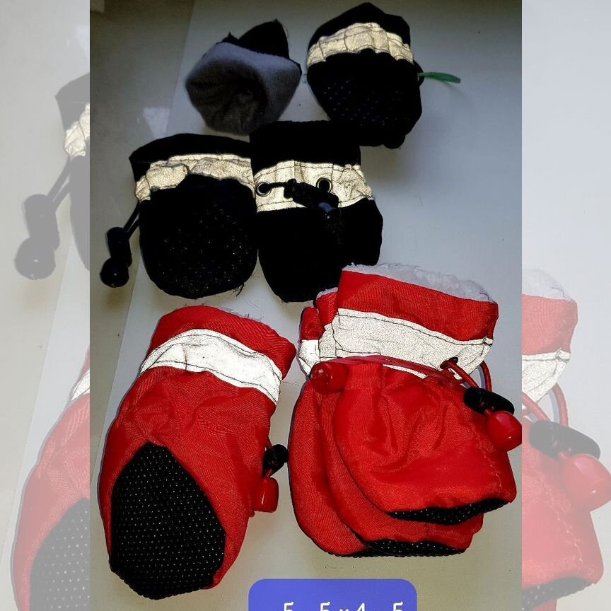 Обувь для маленьких собак